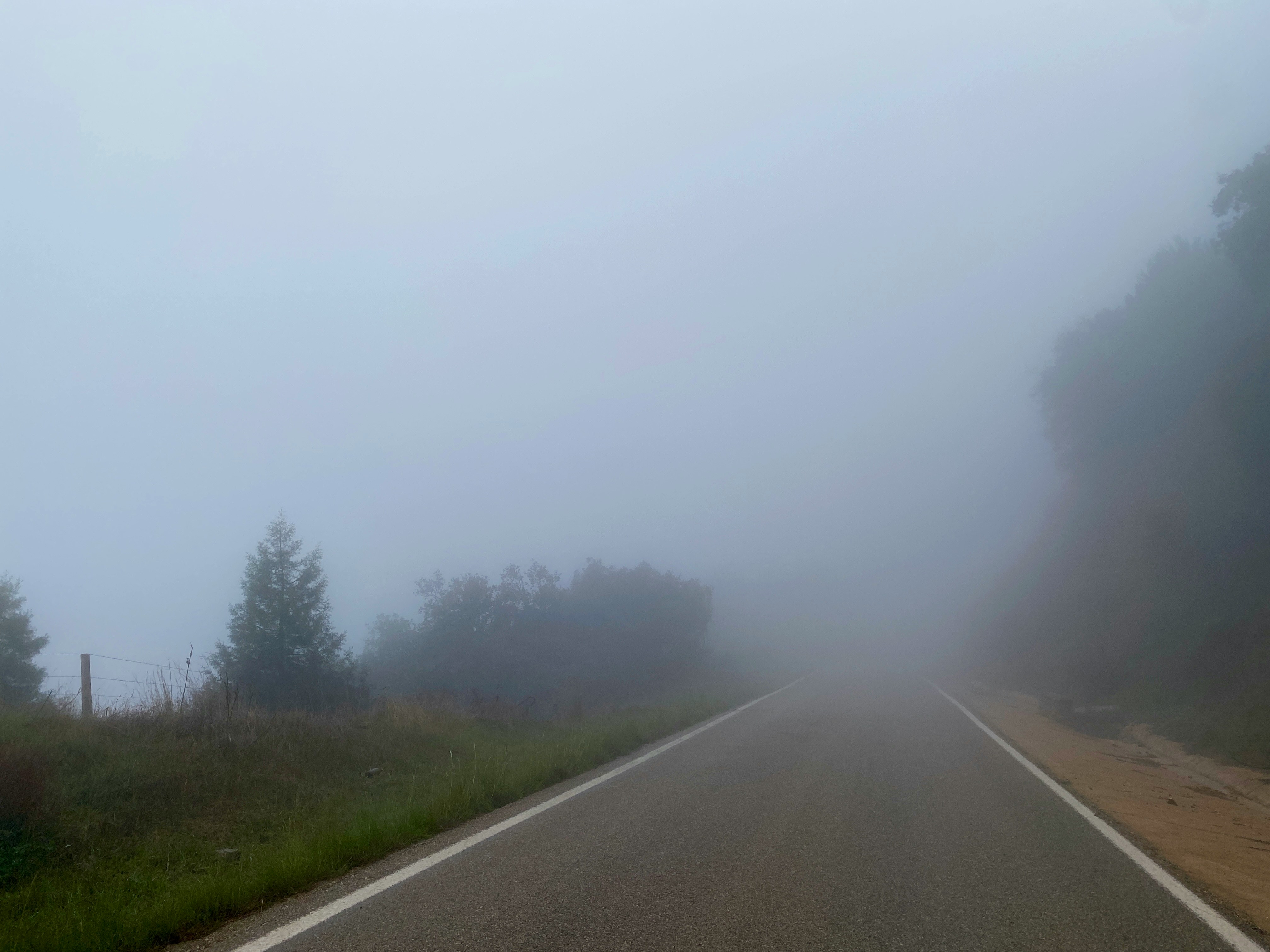 How To Drive Safely In Fog